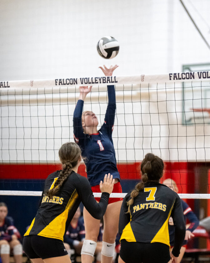 Fitch’s Simons setting up thriving Falcons | News, Sports, Jobs - The ...